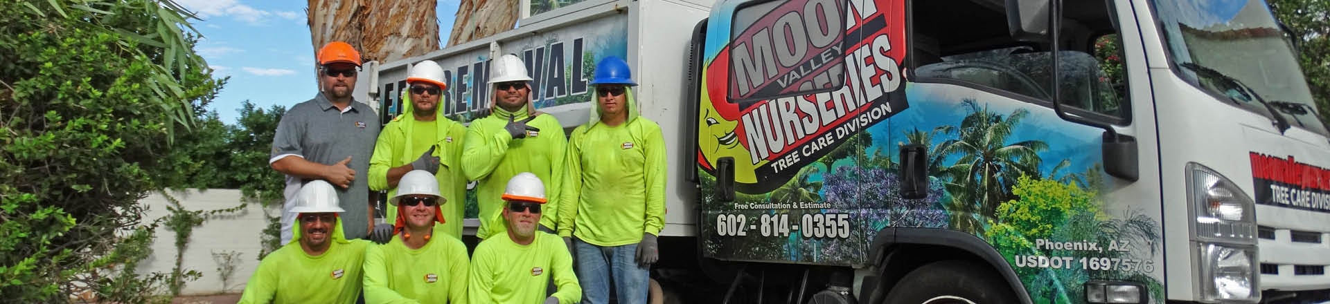 MVP Tree Care Program